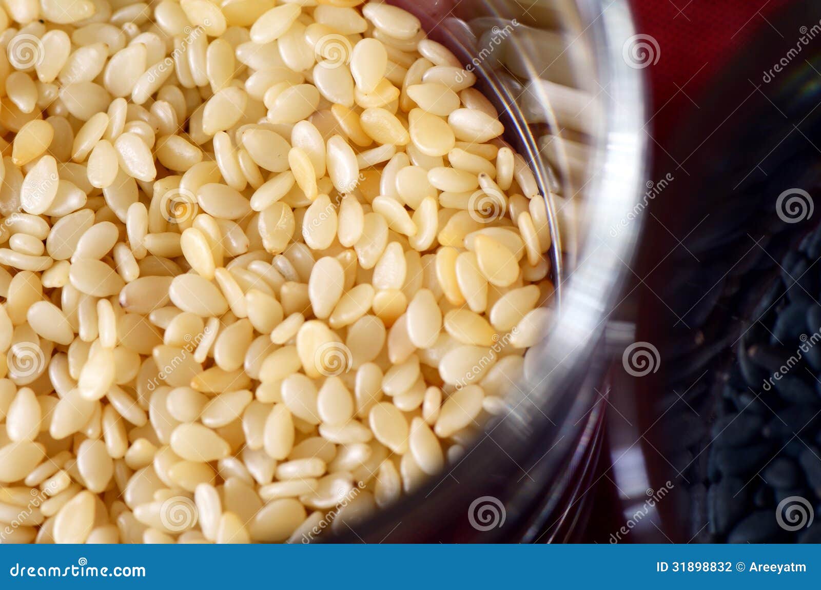 White Sesame Seeds. stock photo. Image of calcium, health - 31898832