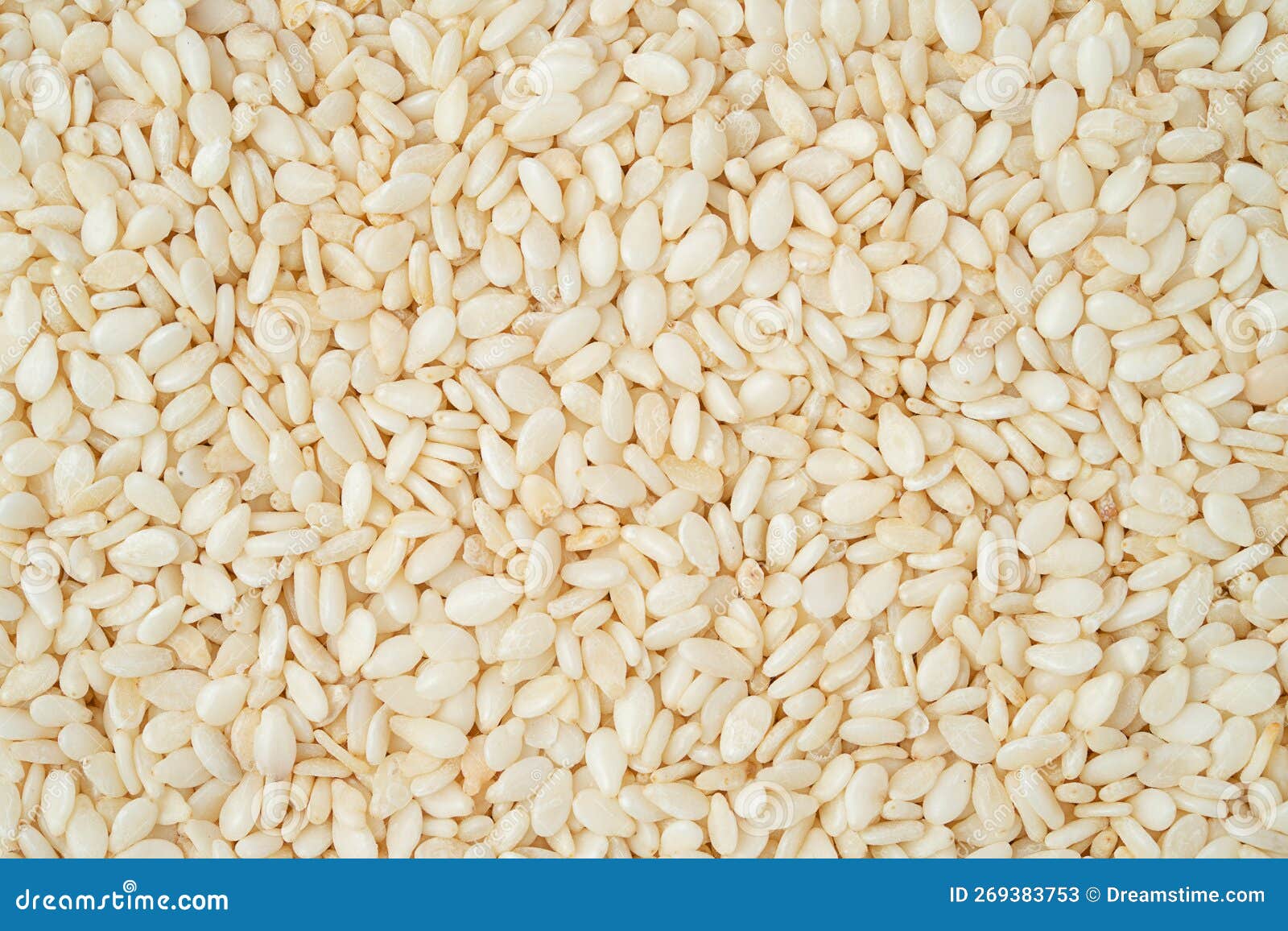 White Sesame Seeds Texture. Top View Stock Image - Image of spice ...