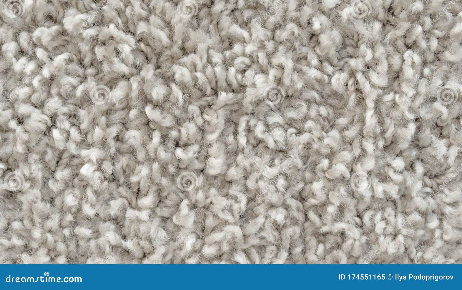 White Shaggy Carpet Texture, Rug with Short Wool Background Stock Image ...