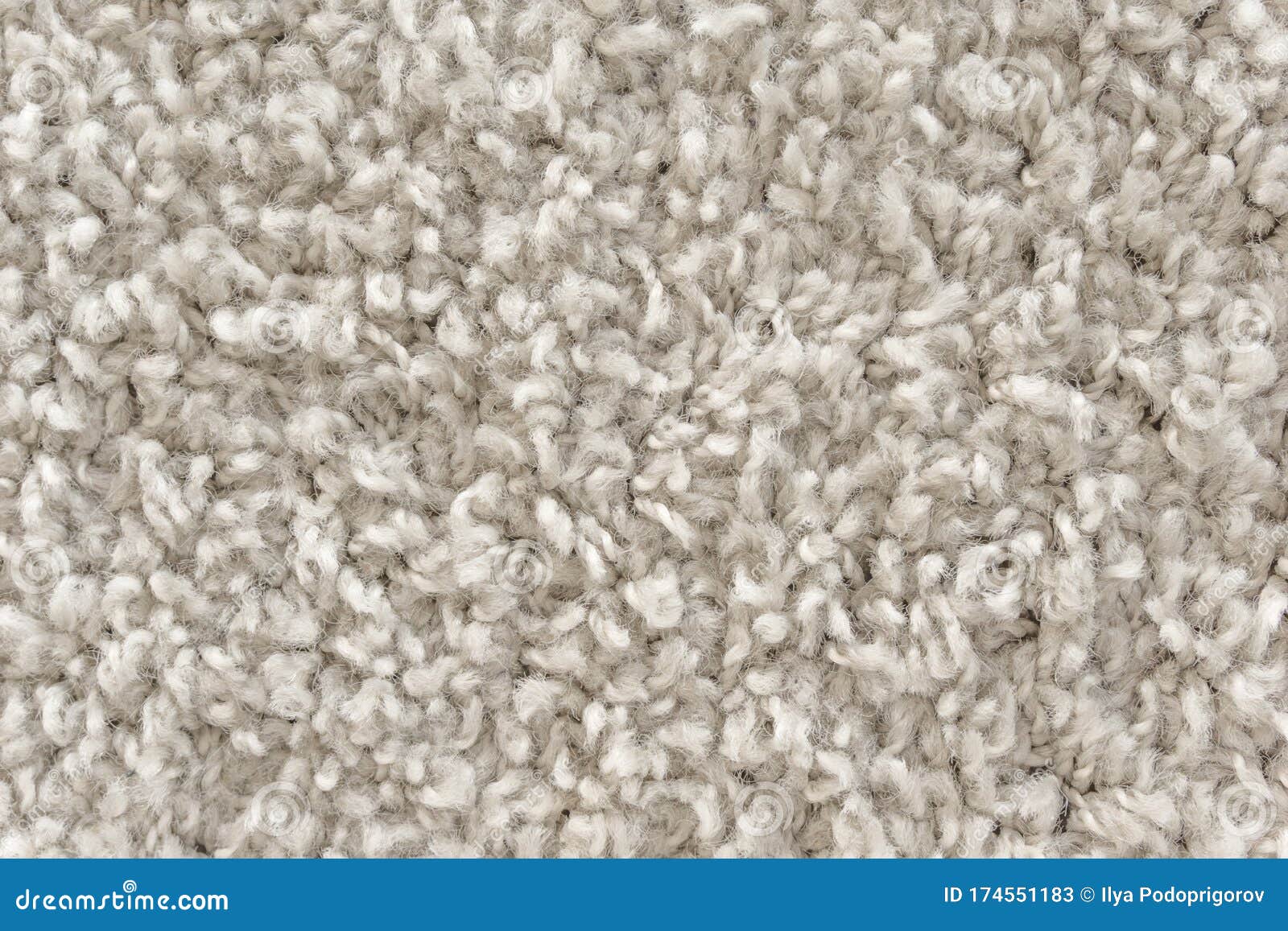 White Shaggy Carpet Texture, Rug with Short Wool Background Stock Image ...