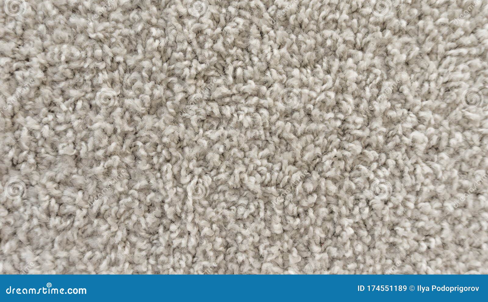 White Shaggy Carpet Texture, Rug with Short Wool Background Stock Image ...