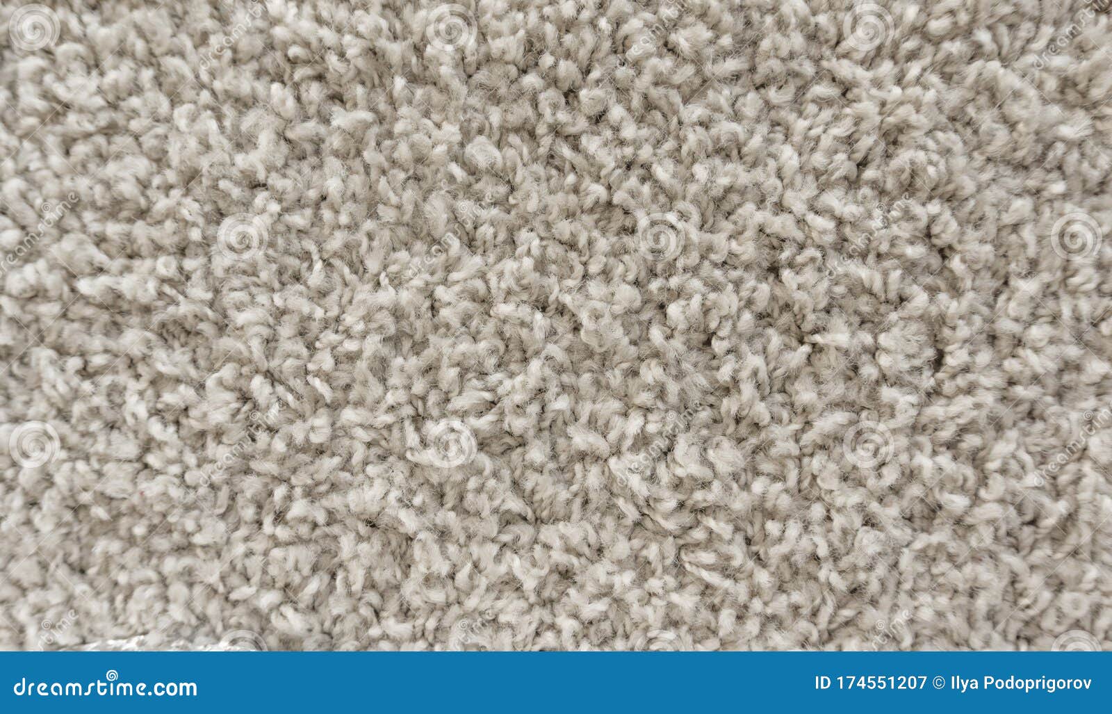 White Shaggy Carpet Texture, Rug with Short Wool Background Stock Image ...