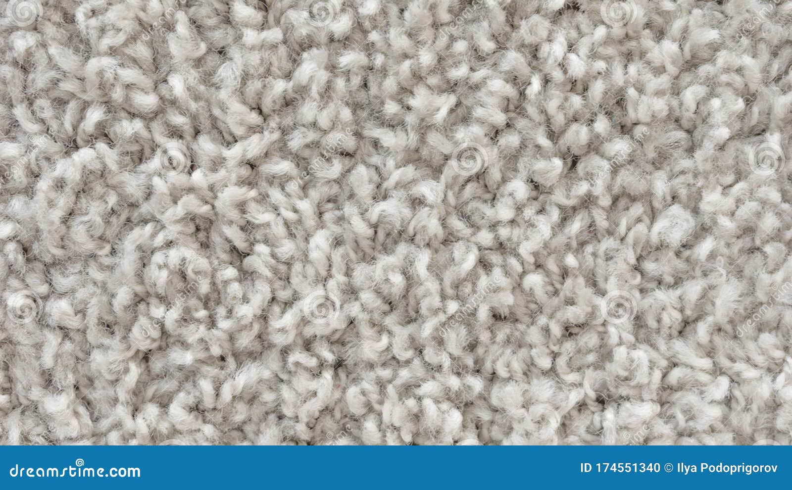 White Shaggy Carpet Texture, Rug with Short Wool Background Stock Photo ...
