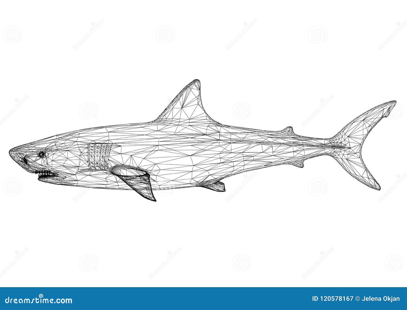 Shark 3d Blueprint Mesh Model On A Blue Background. Front View ...