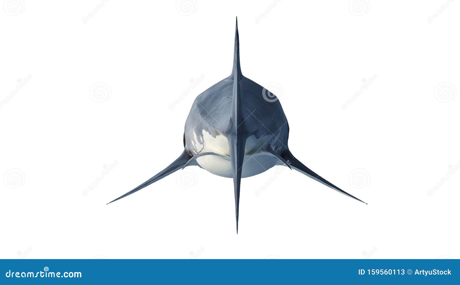 White Shark Marine Predator, Back View Stock Illustration ...
