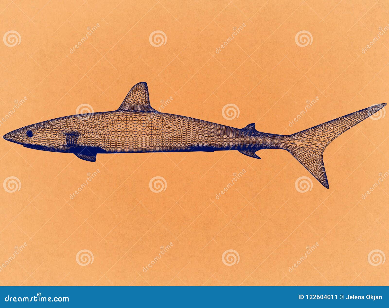 Shark 3d Blueprint Mesh Model On A Blue Background. Front View ...