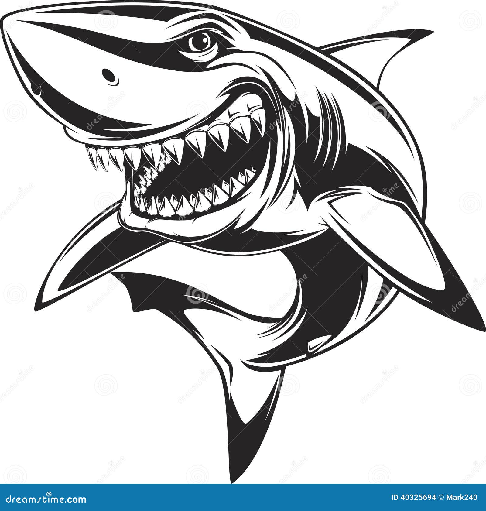 White Shark Stock Vector - Image: 40325694