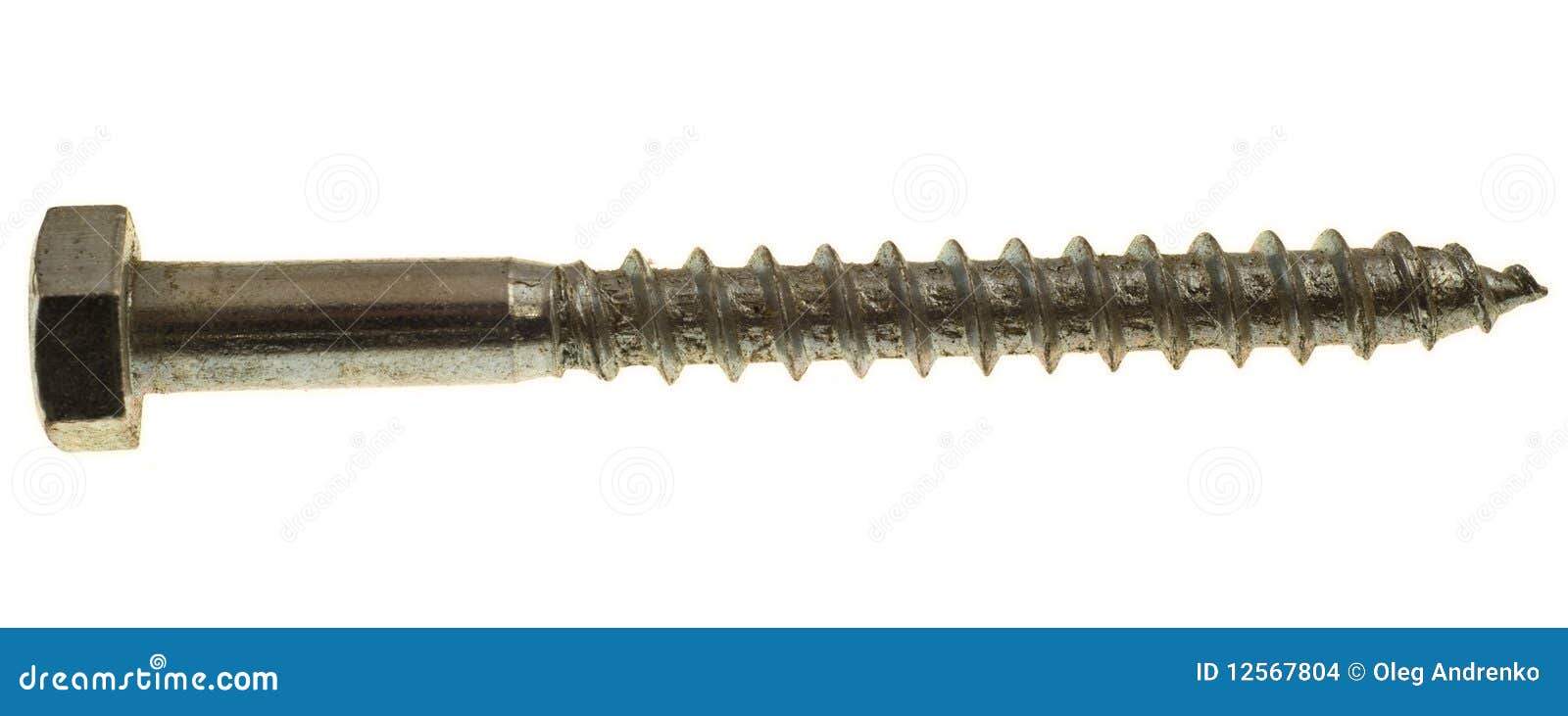 White sharp stock photo. Image of fixings, close, screws - 12567804