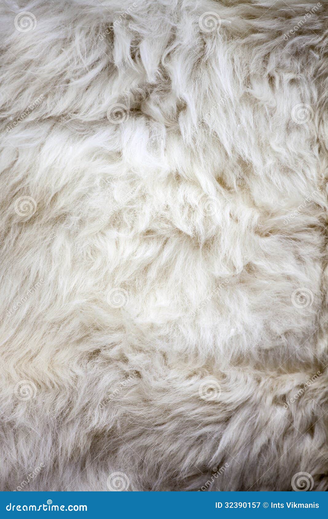 White sheep fur texture stock image. Image of warm, lambskin - 32390157
