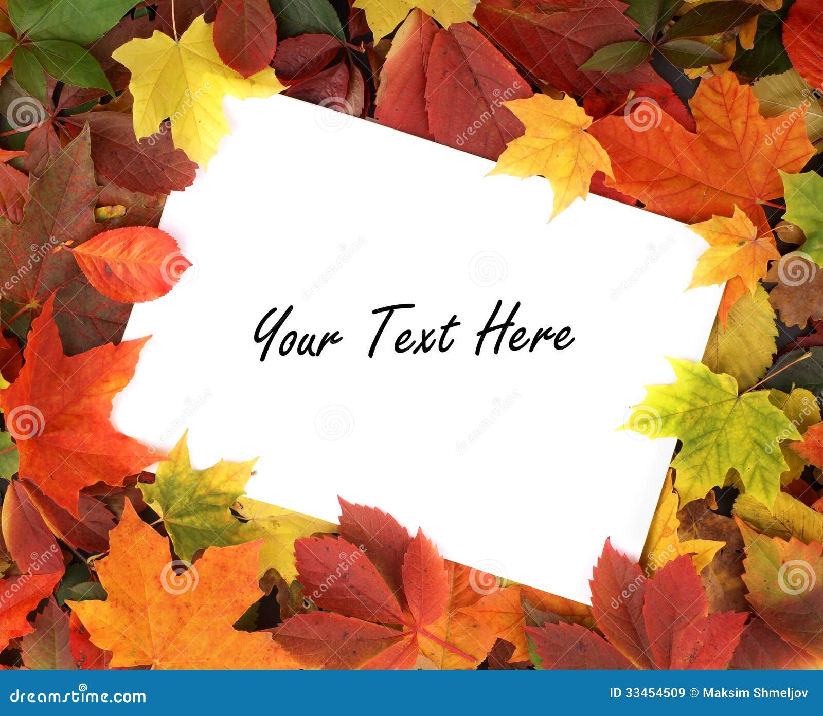 A White Sheet of Paper on an Autumn Frame Stock Image - Image of green ...