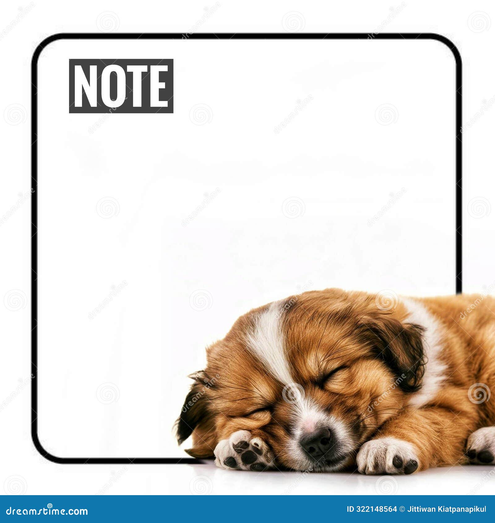 White Sheet of Paper Note, Memo, with Dog in Frame, Blank Note for ...