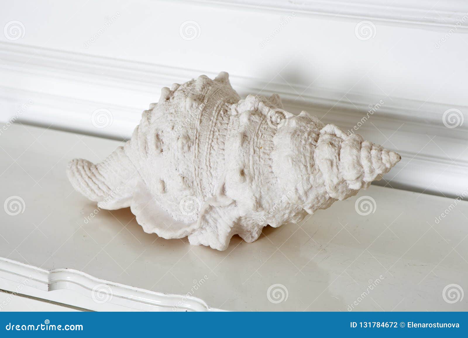 White Shell on a White Chest As a Decoration Stock Photo - Image of ...