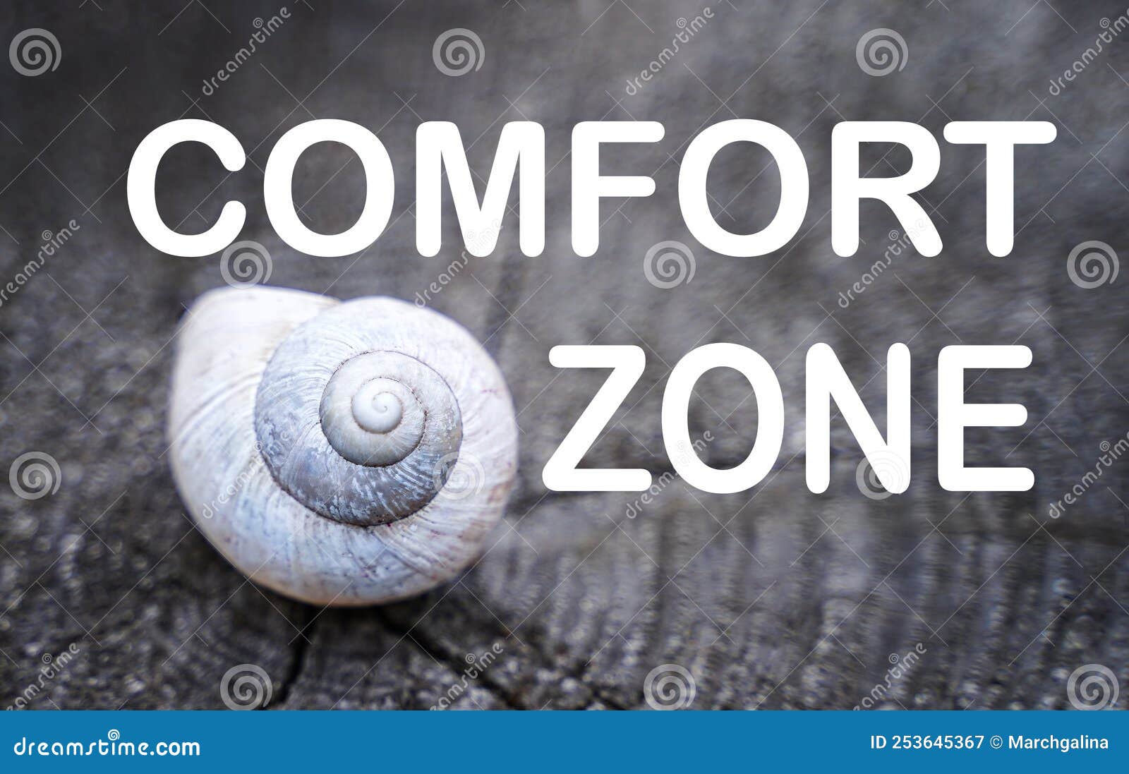The Concept of Getting Out of the Comfort Zone. Motivation Inspiration ...