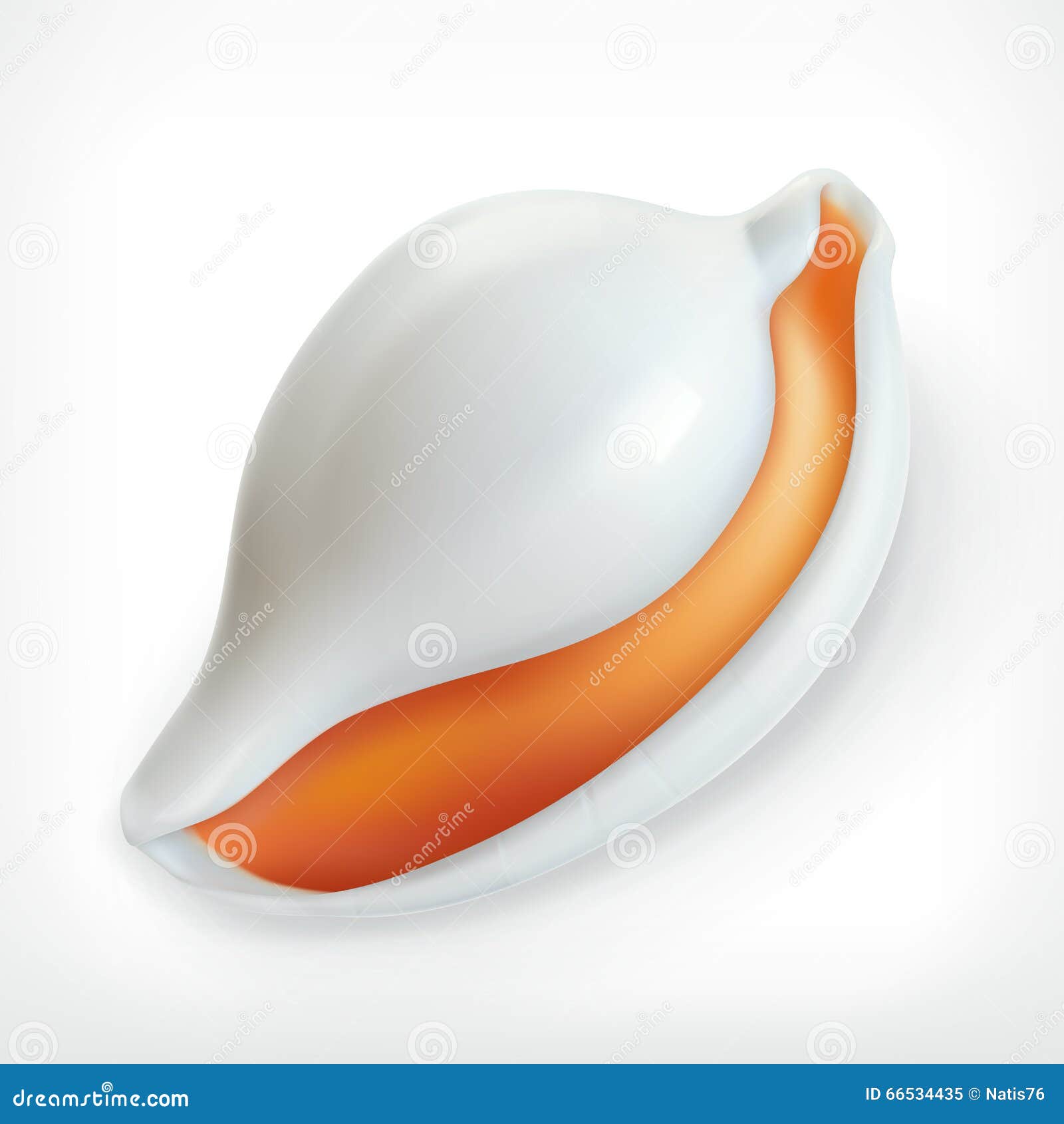 White shell icon stock vector. Illustration of object - 66534435