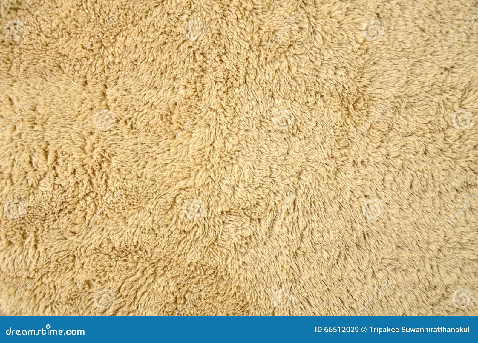 White short hair fur stock image. Image of sheep, soft - 66512029