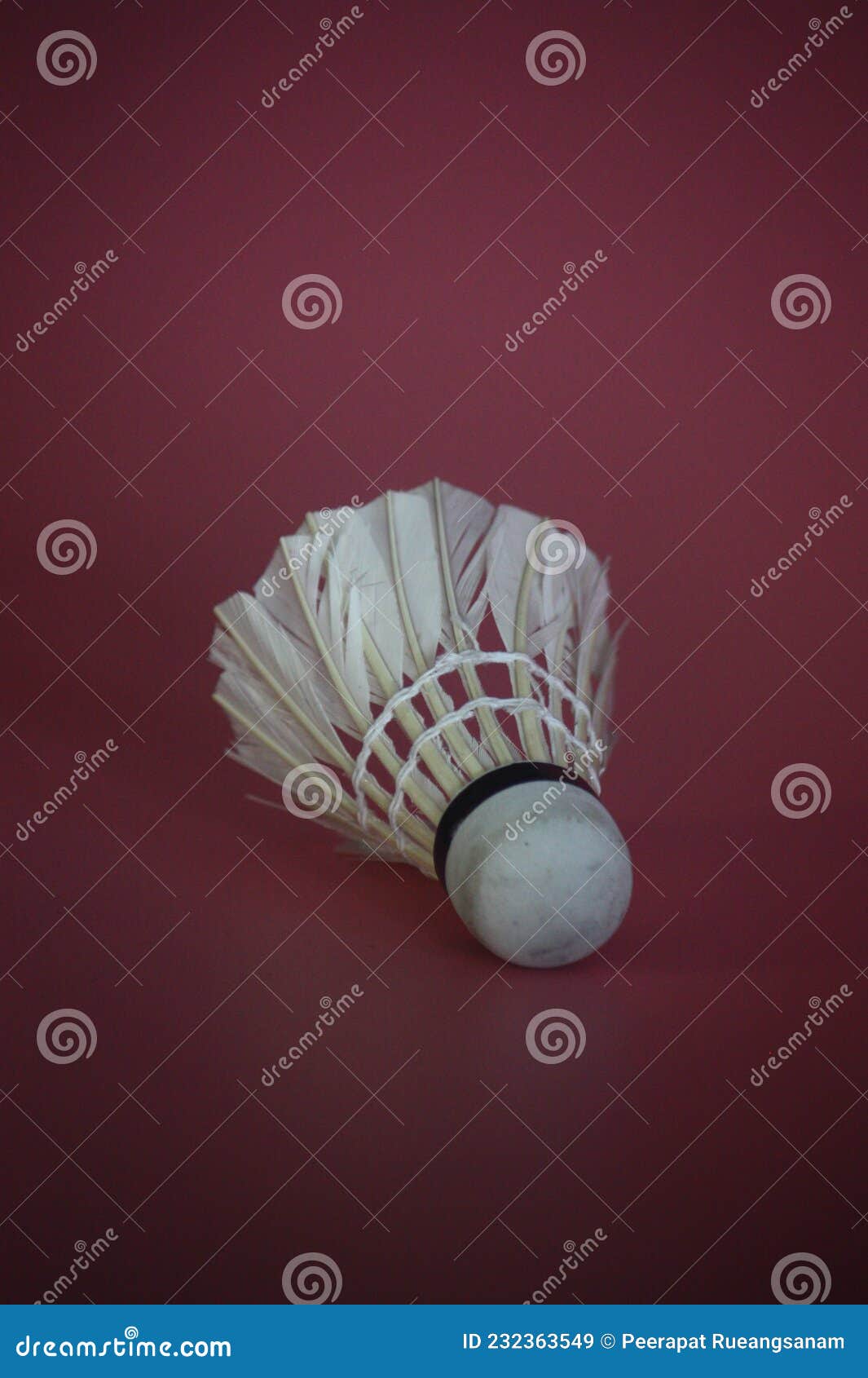A White Shuttle Cock For Badminton Sport On Pink Background. Royalty ...