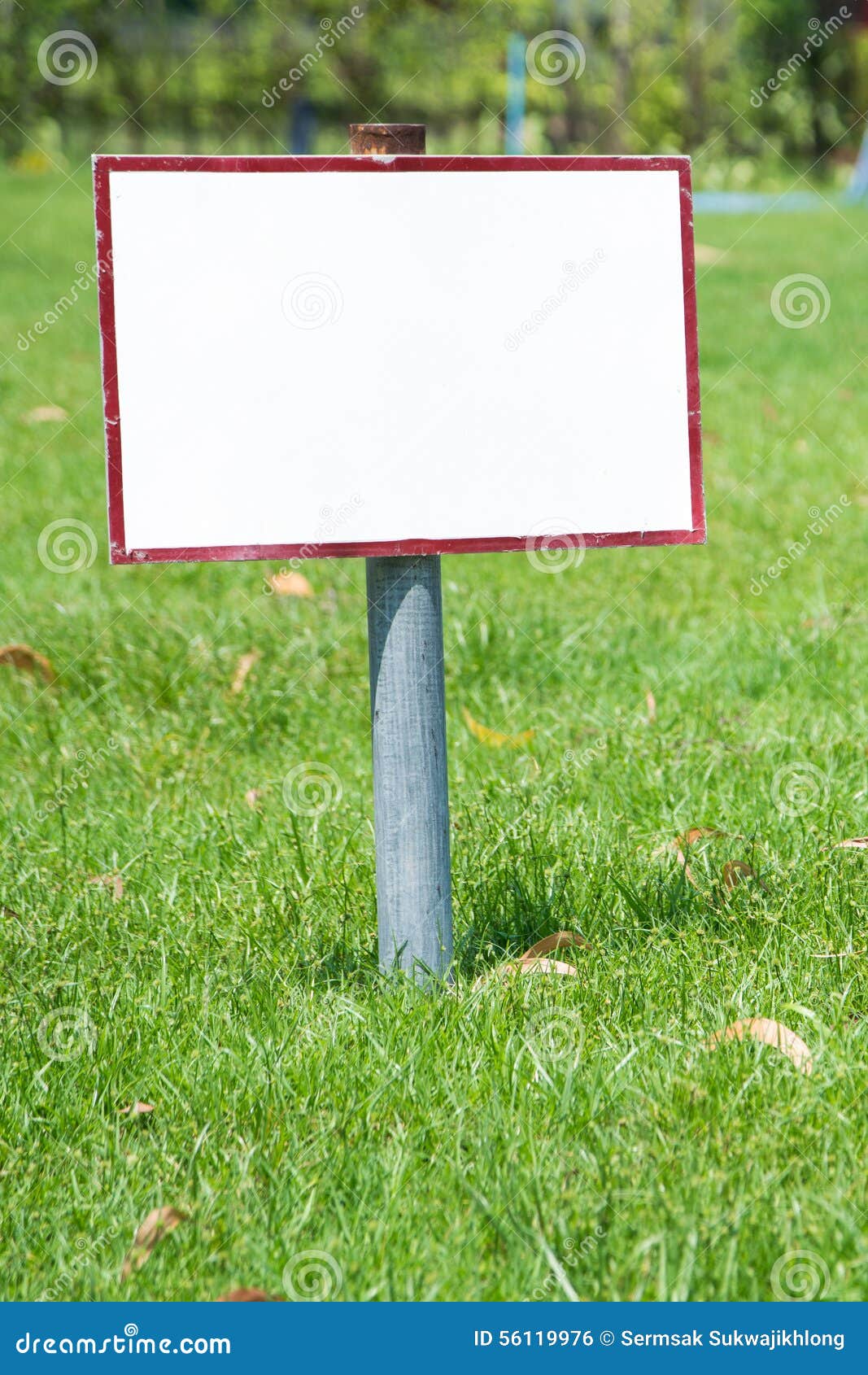 White sign empty stock photo. Image of nature, idea, lawn - 56119976