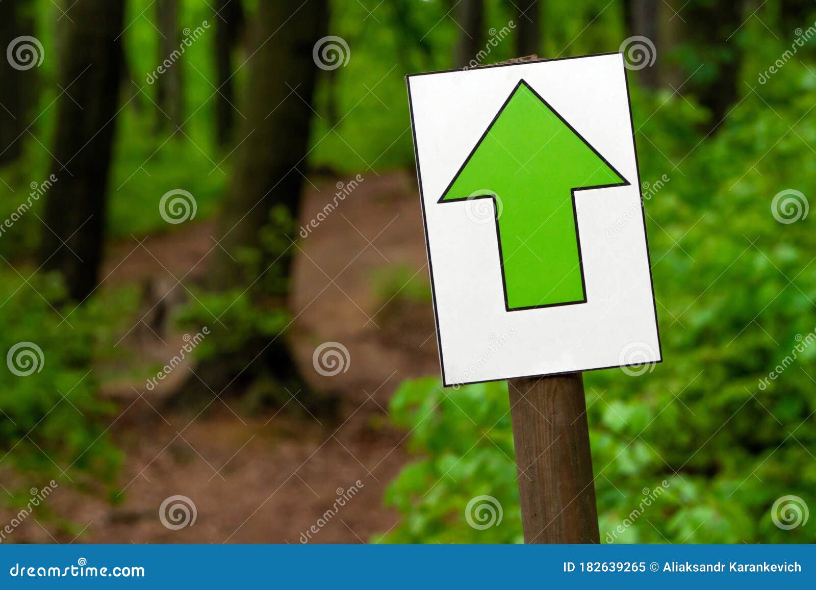 White Sign or Label with Green Arrow on Stick on Path in Green Spring ...