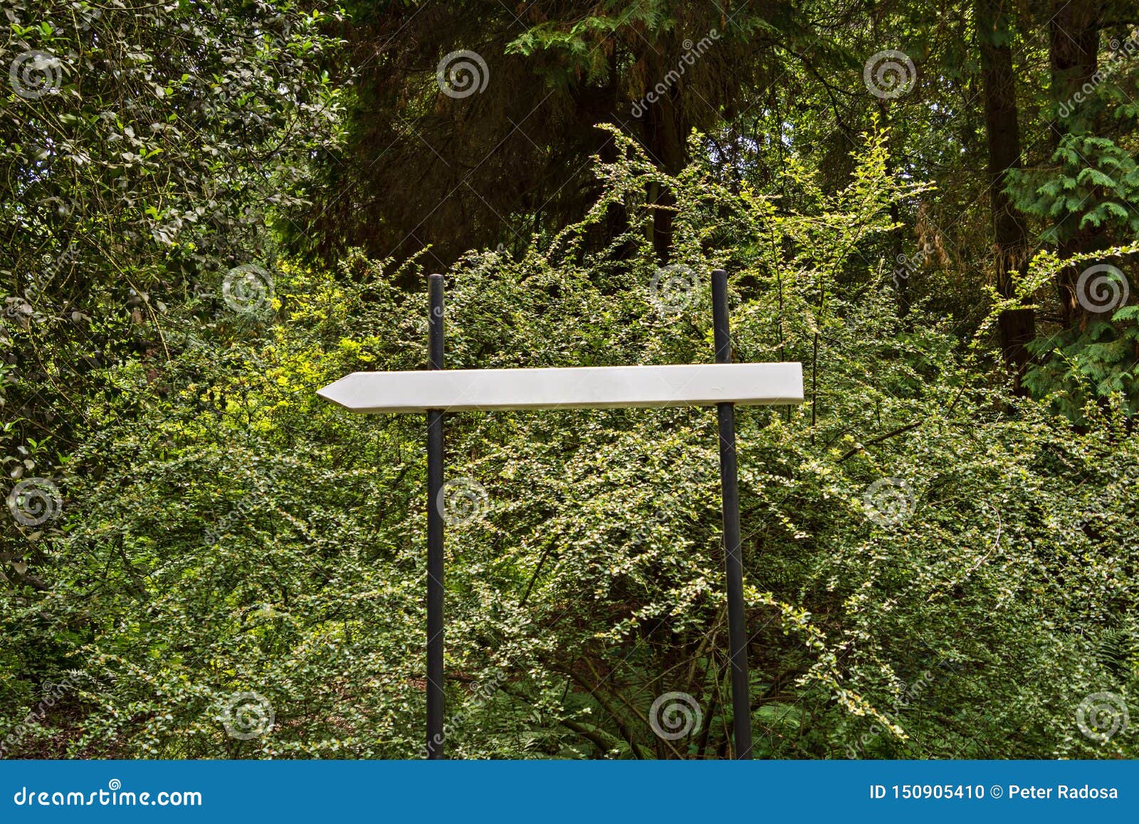 Signboard Arrow Stock Photography | CartoonDealer.com #163706