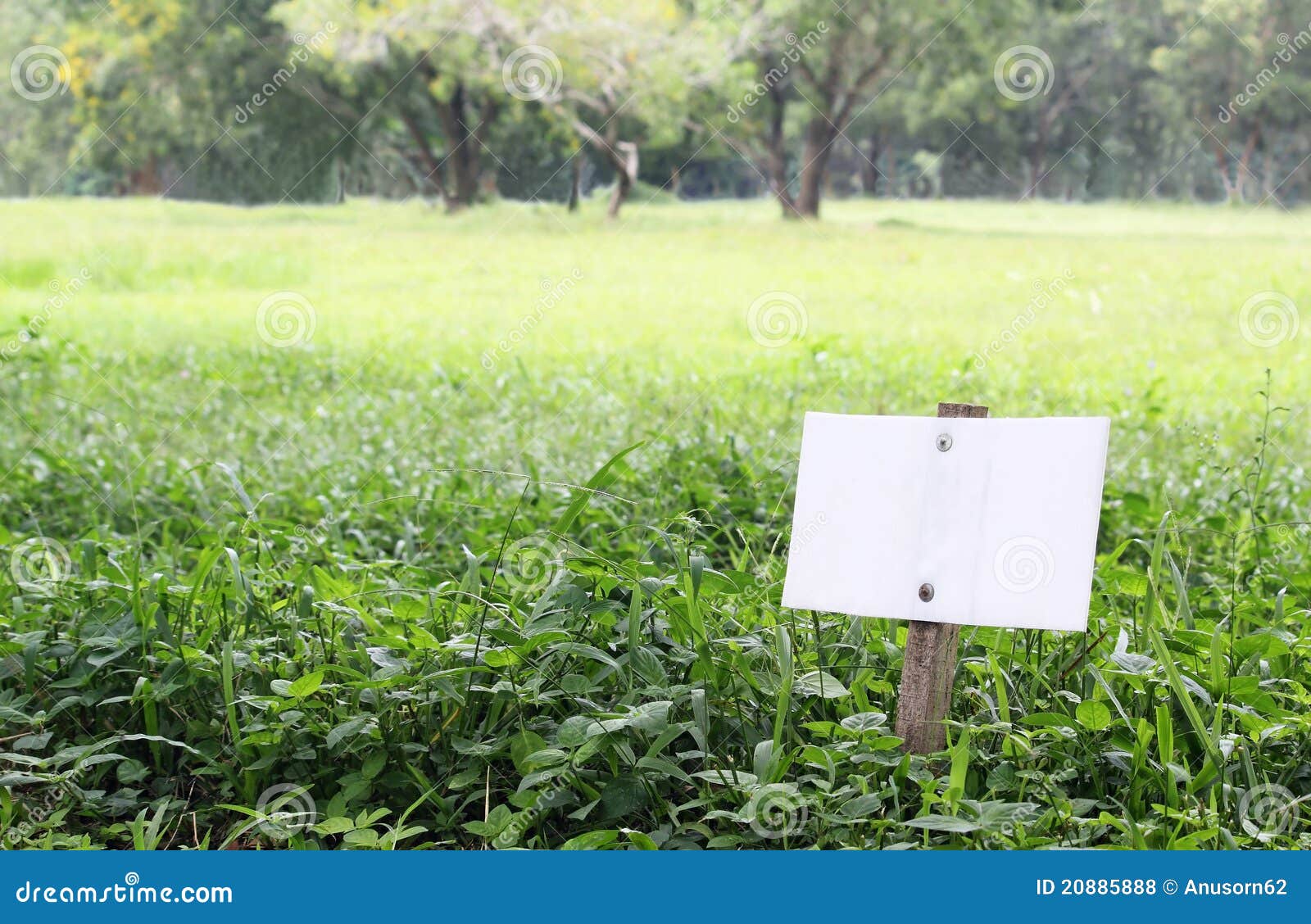 White Signboard on Grass Field Stock Photo - Image of information ...
