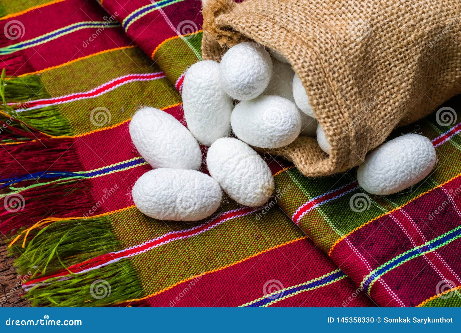 White silk cocoon stock photo. Image of shape, pure - 145358330