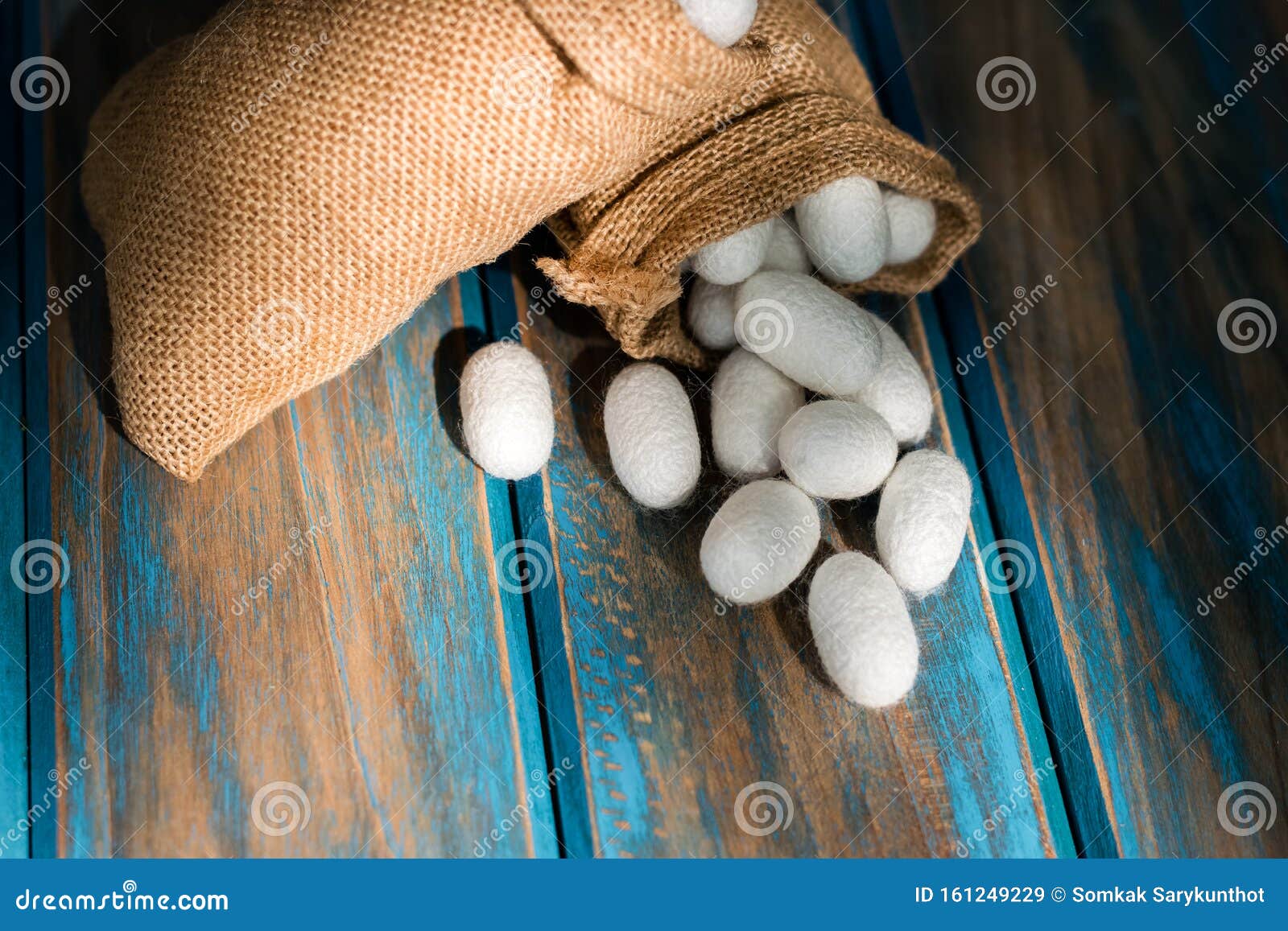 White silk cocoon stock image. Image of industry, group - 161249229