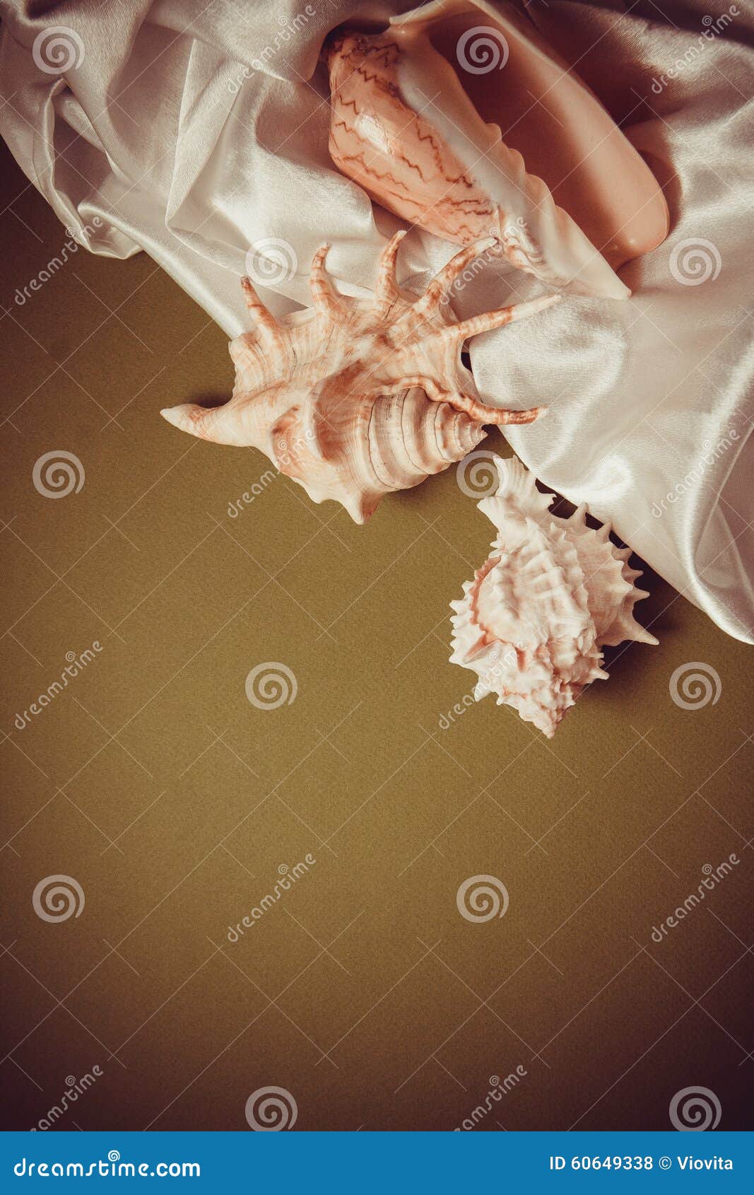 White silk with shells stock photo. Image of mediterranean - 60649338