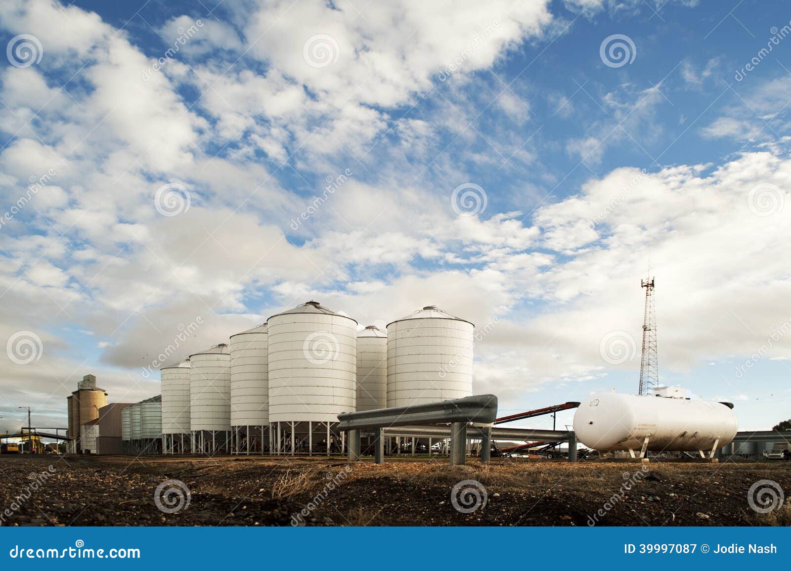 White silos carrying grain stock image. Image of tall - 39997087
