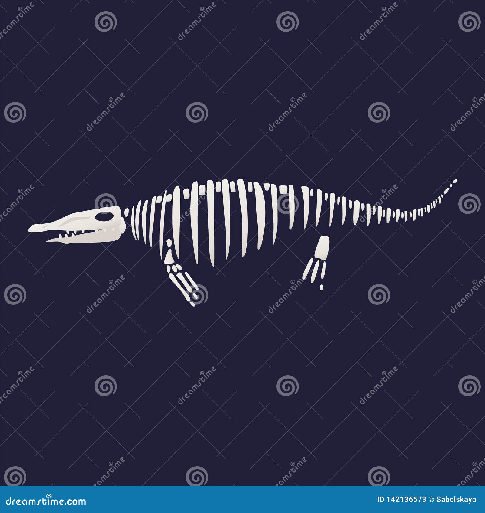 White Skeleton and Bones of a Pliosaurus. Stock Vector - Illustration ...