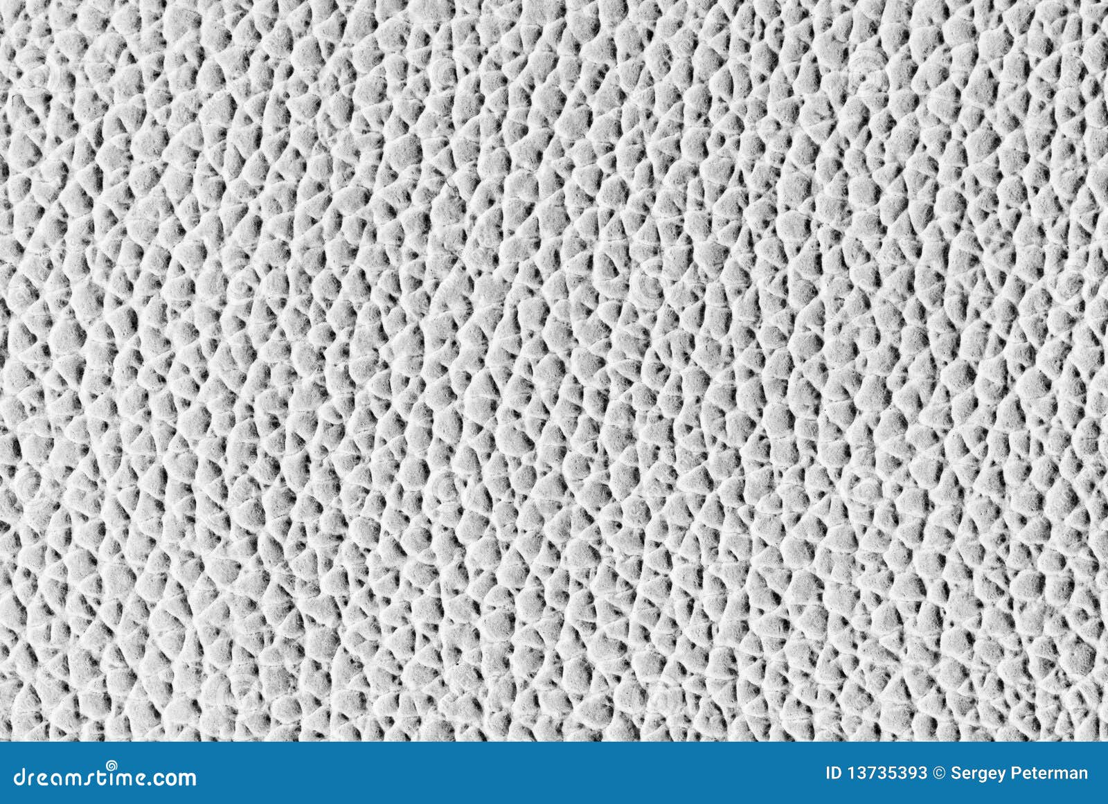 White Skin Texture Stock Image | CartoonDealer.com #13735393