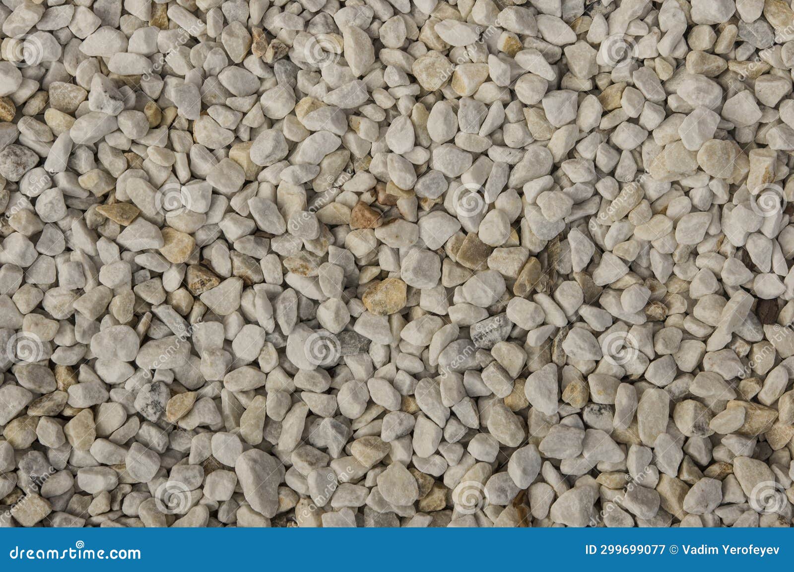 White Small Stone Background. Natural Rocks in the Garden Stock Image ...