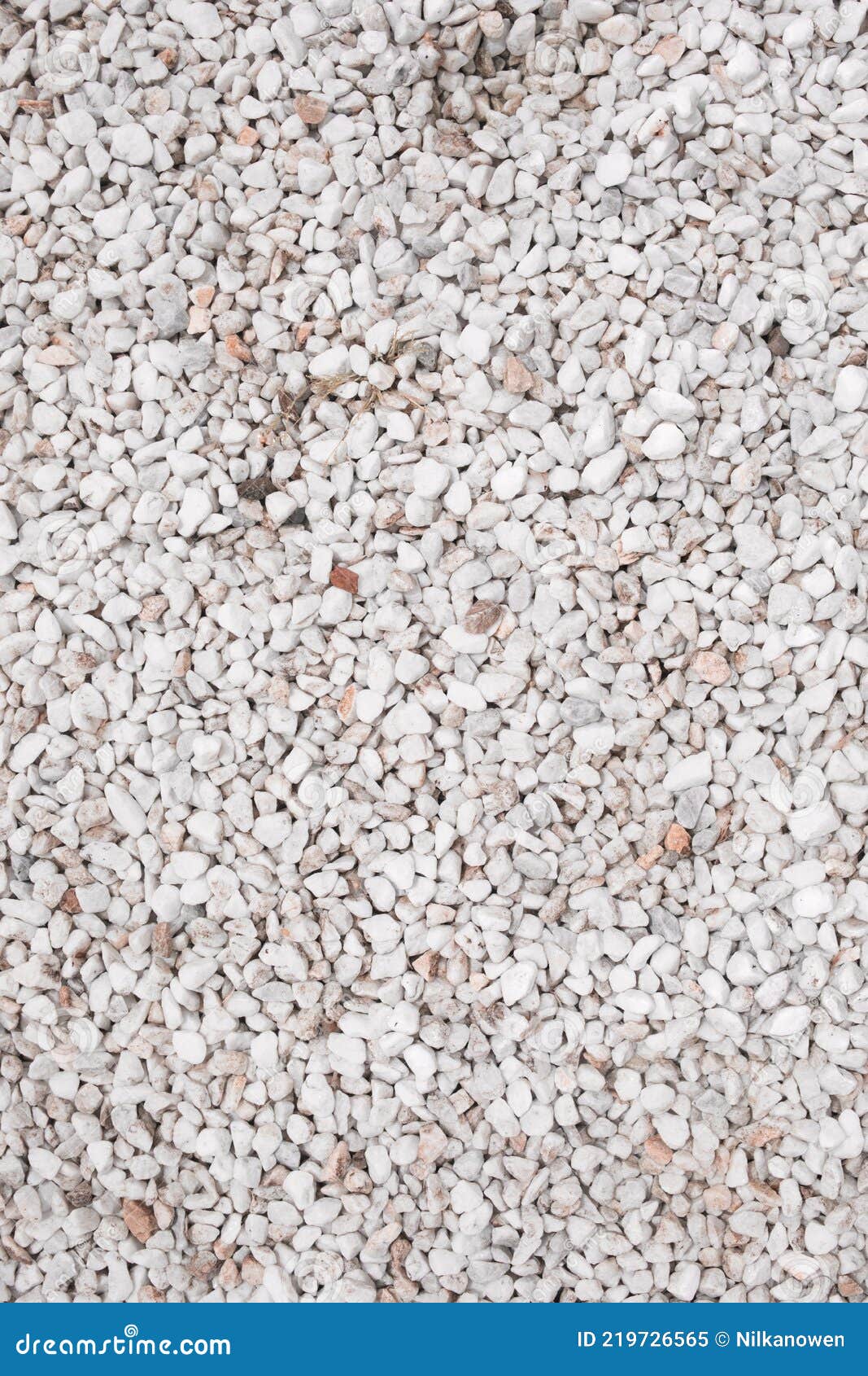 White Small Stones Background Texture Stock Image - Image of ground ...
