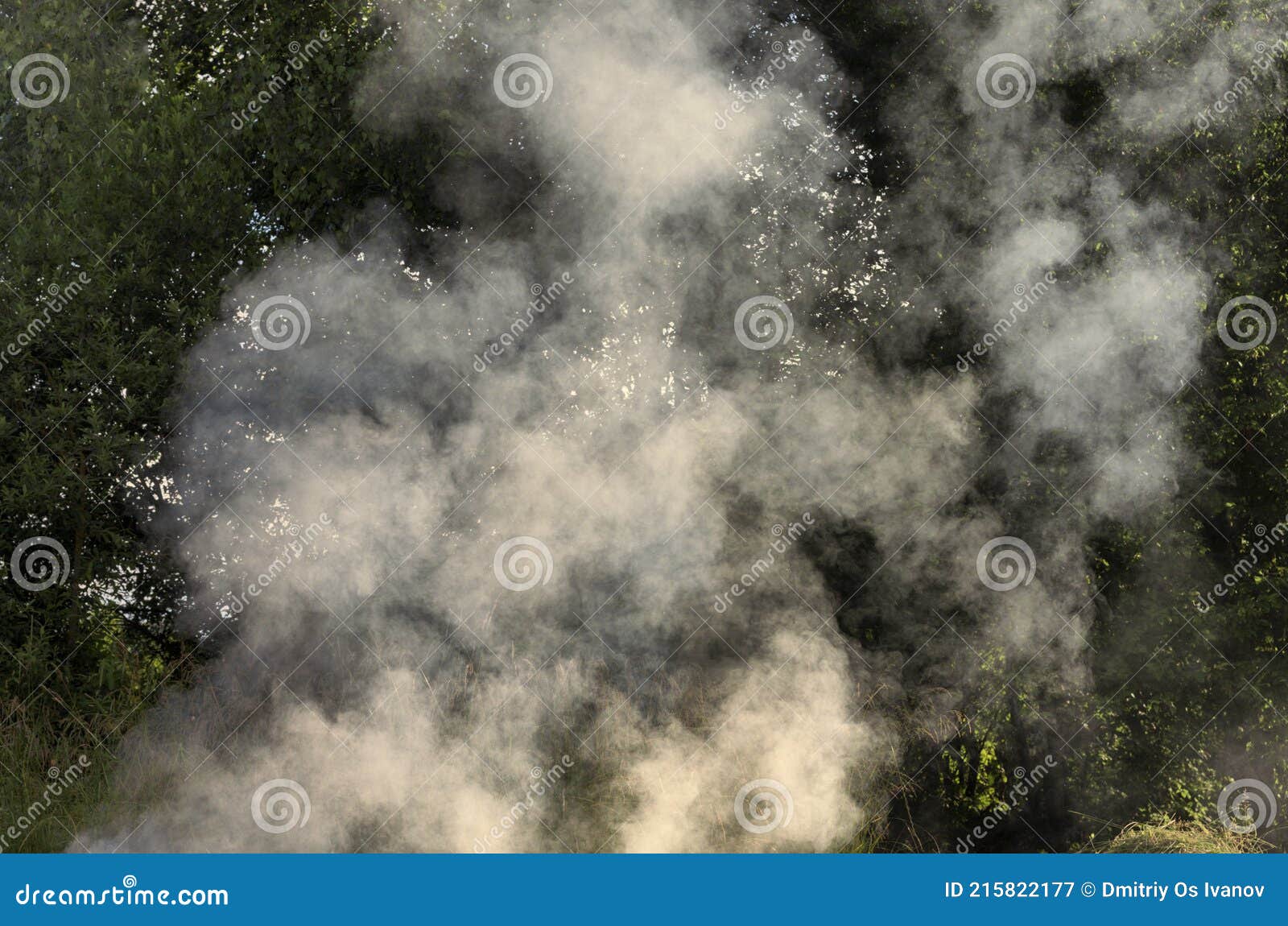 White Smoke from a Fire in the Countryside Stock Image - Image of ...