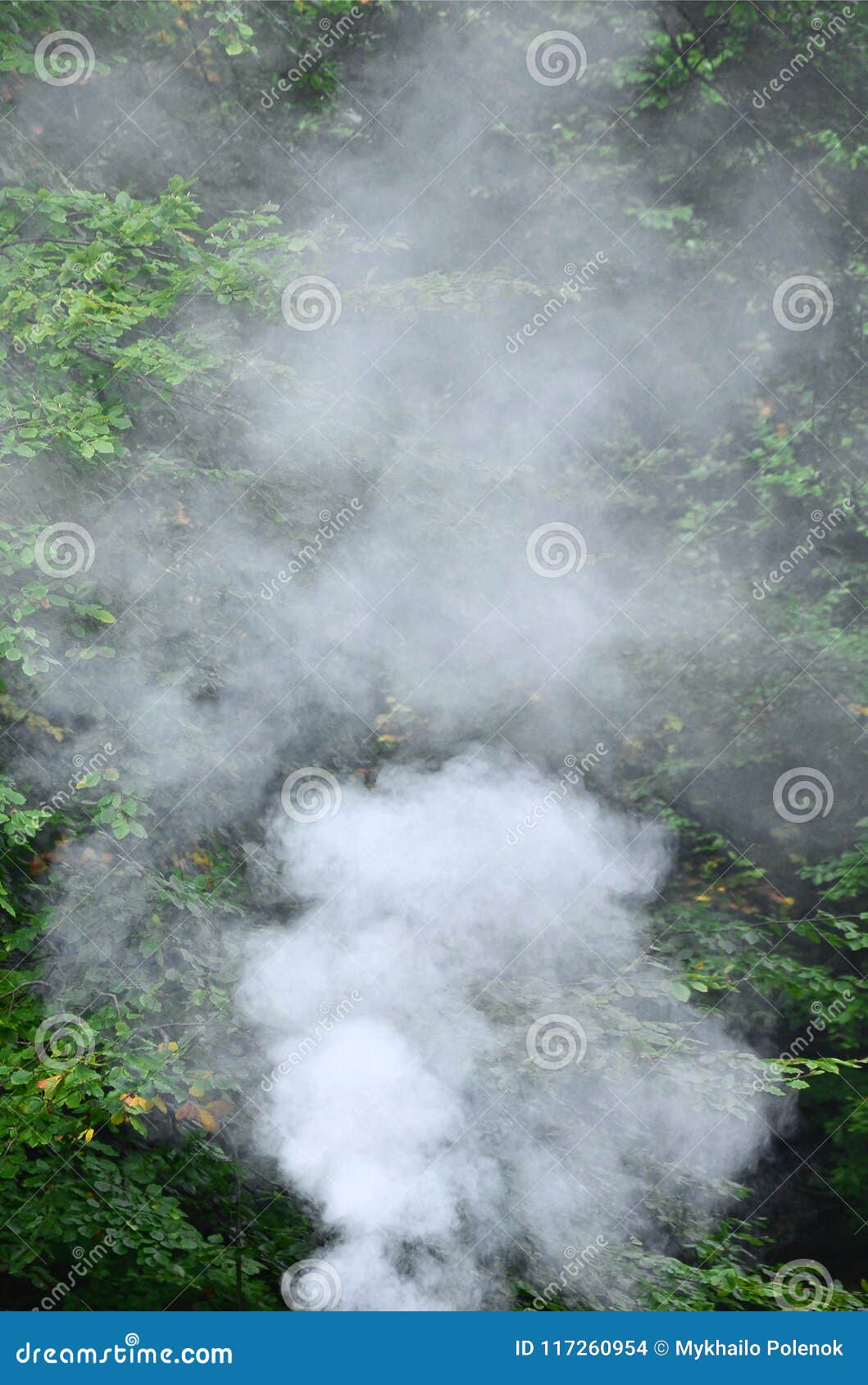 White Smoke Spreads Over the Background of Forest Trees Stock Photo ...