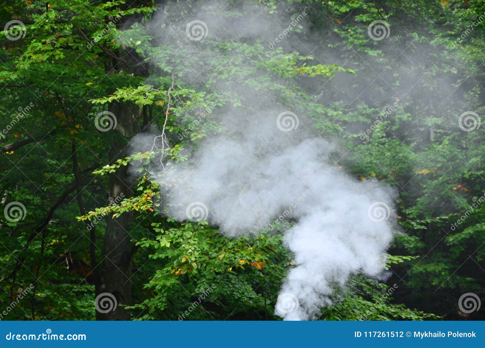 White Smoke Spreads Over the Background of Forest Trees Stock Photo ...