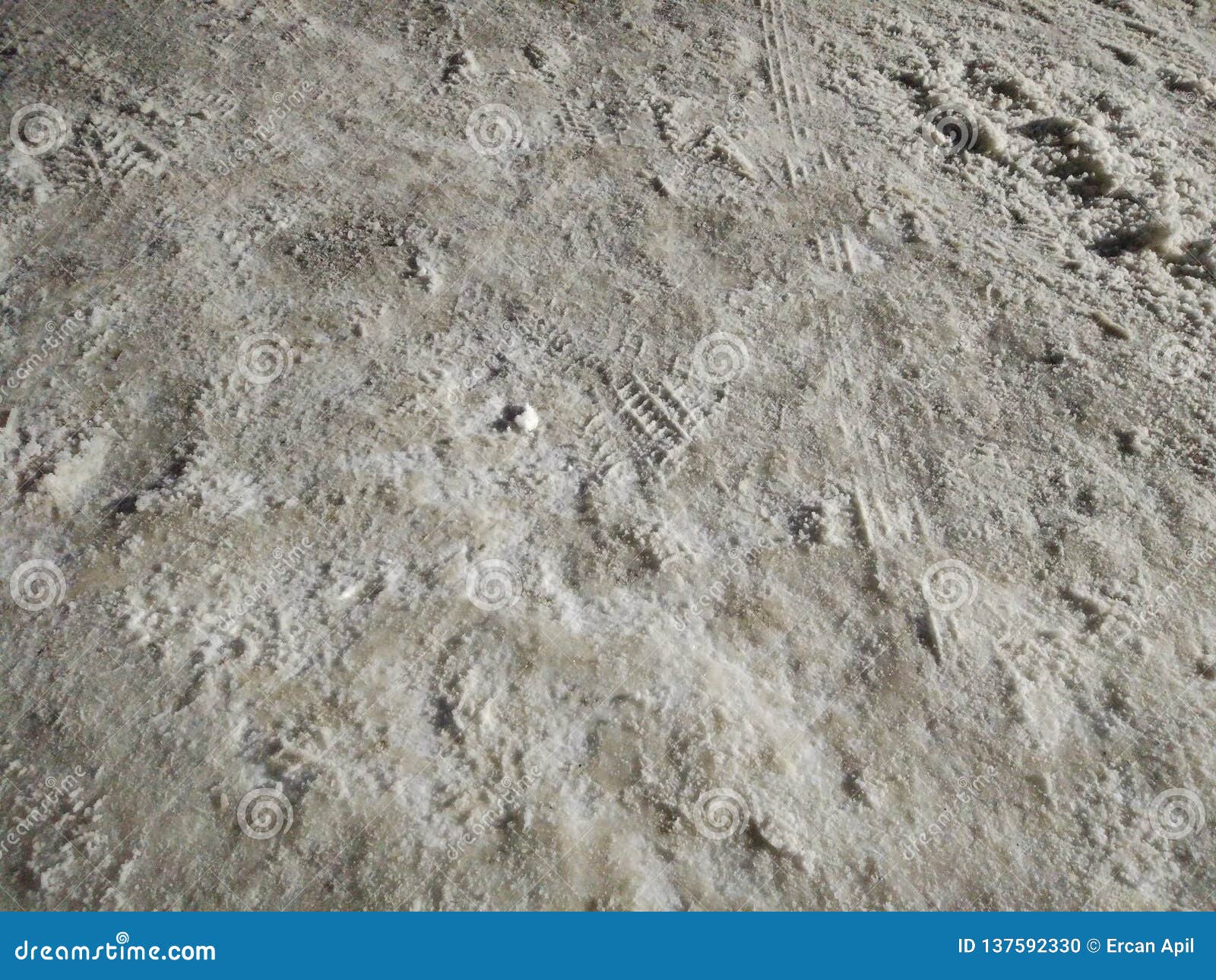 The White Smooth Snow Ground Stock Photo - Image of ground, smooth ...