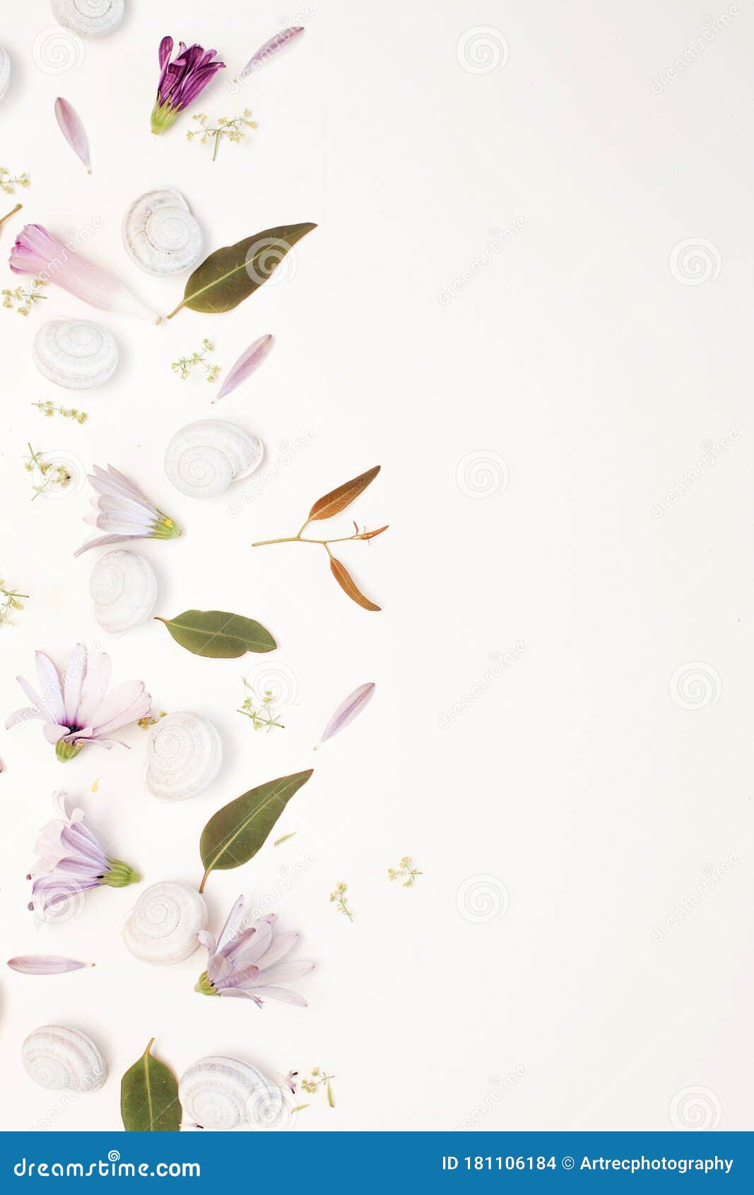 White Snails on White Background with Petals and Leaves Background ...