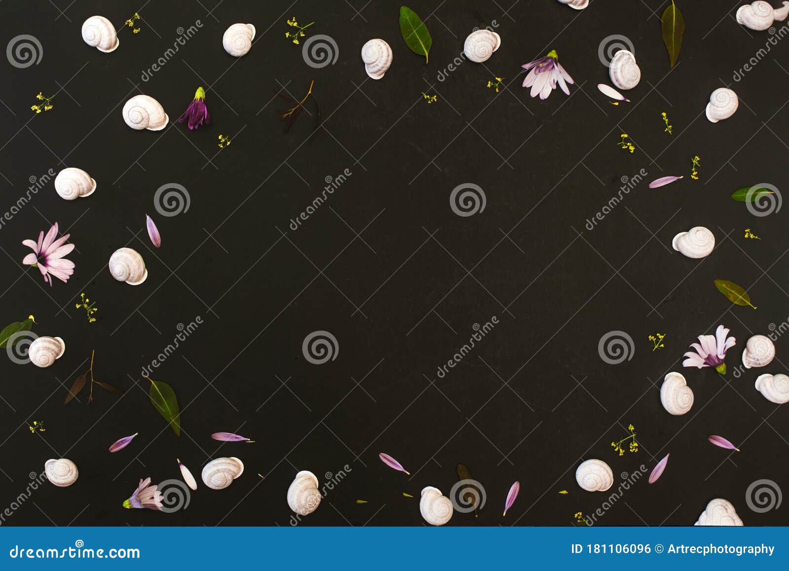 White Snails on Black Background with Petals and Leaves Background with ...