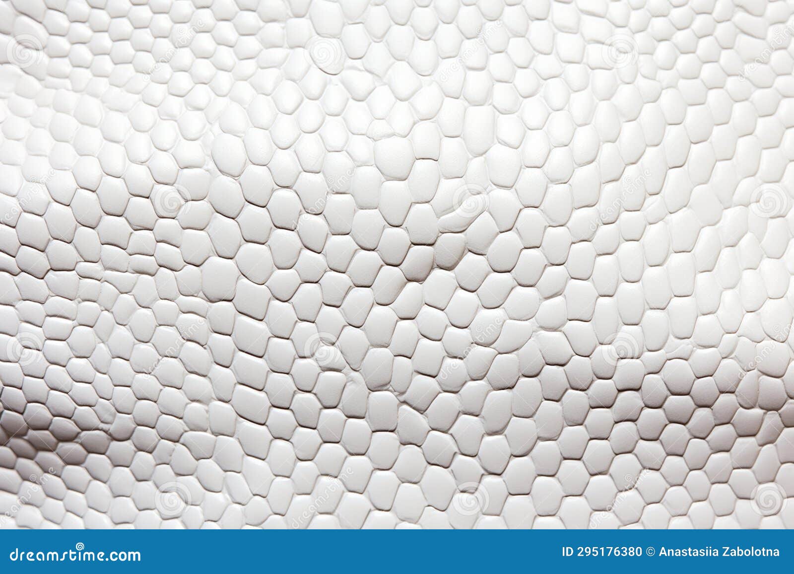 White Snake Skin Texture stock illustration. Illustration of ridged ...