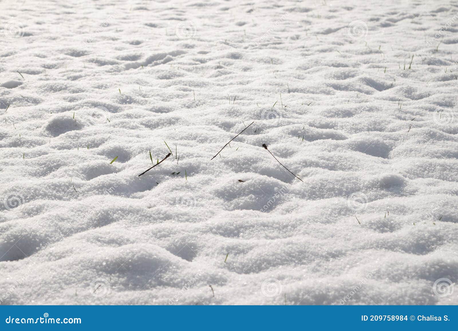 White Snow Covered the Ground Texture Background Stock Photo - Image of ...