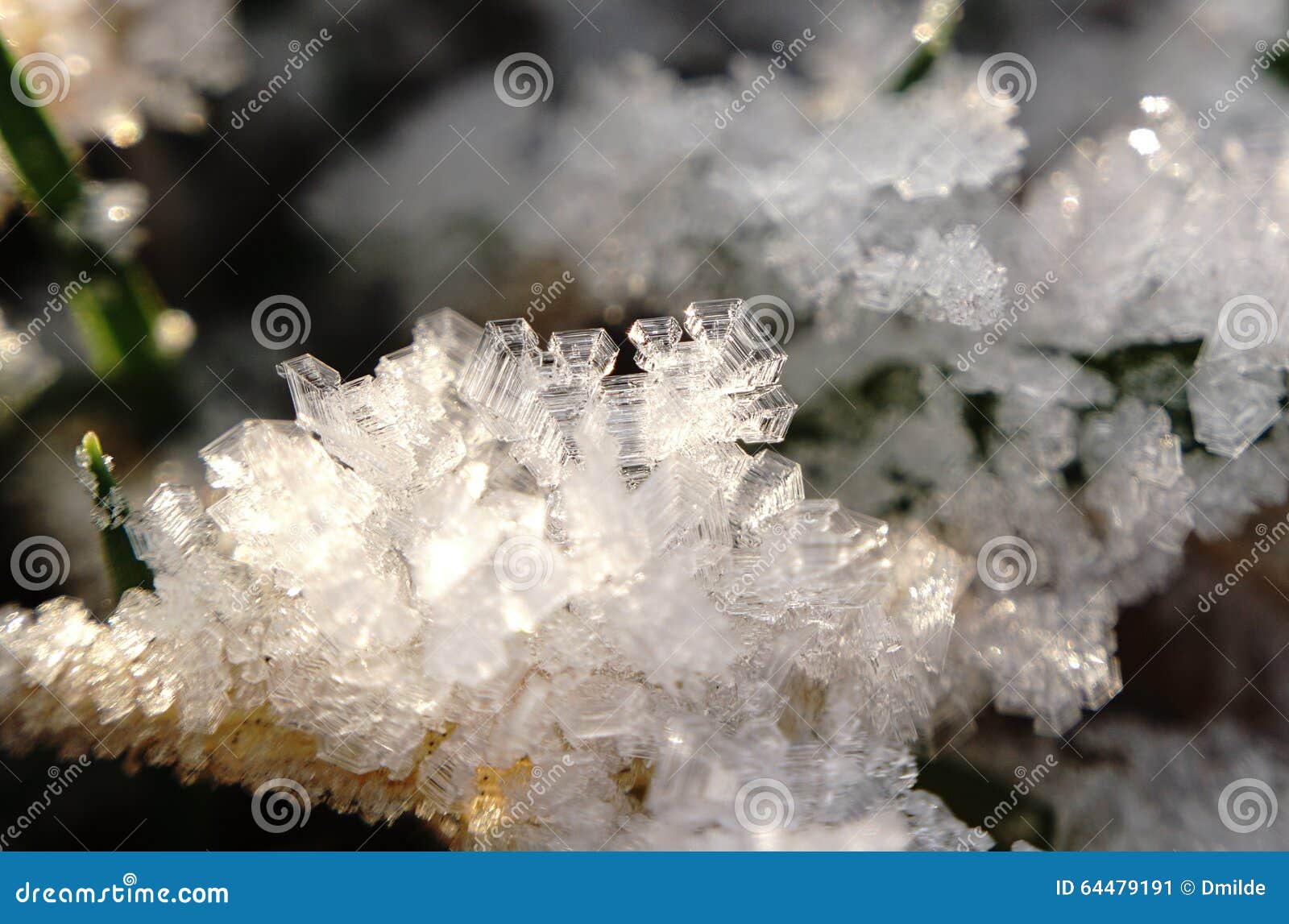 White snow crystals stock image. Image of szron, snow - 64479191