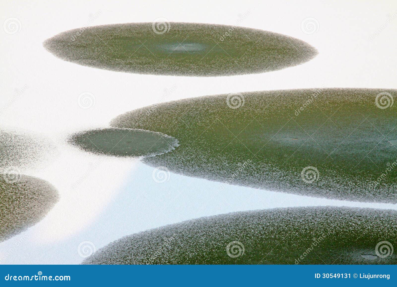 White Snow and Ellipse in the Wild Stock Image - Image of curve, shape ...