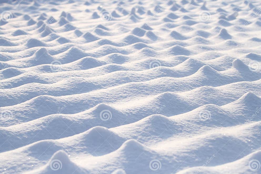 White Snow on Feild in Sunlight Stock Image - Image of pure, beautiful ...