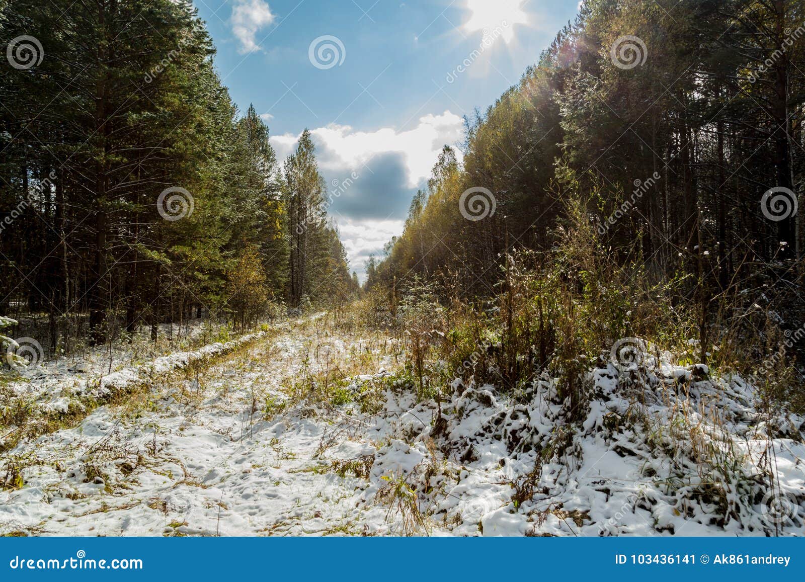 First October snow stock image. Image of nature, white - 103436141