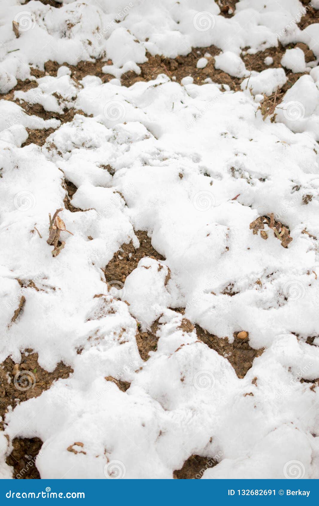 White Snow on Rocky and Muddy Surface Stock Image - Image of clean ...
