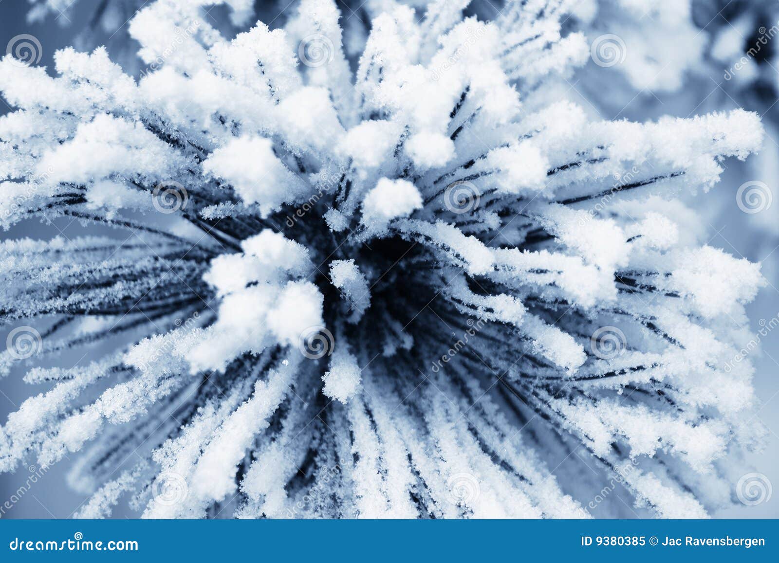 White snow star stock image. Image of light, blur, purity - 9380385