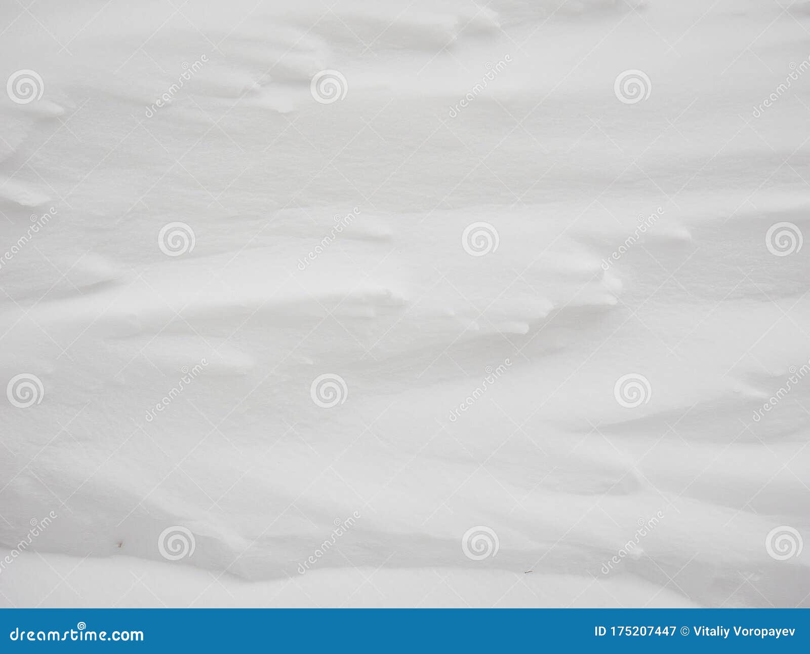 White Snow Texture of Natural Snow Surface. Nature Winter Background ...
