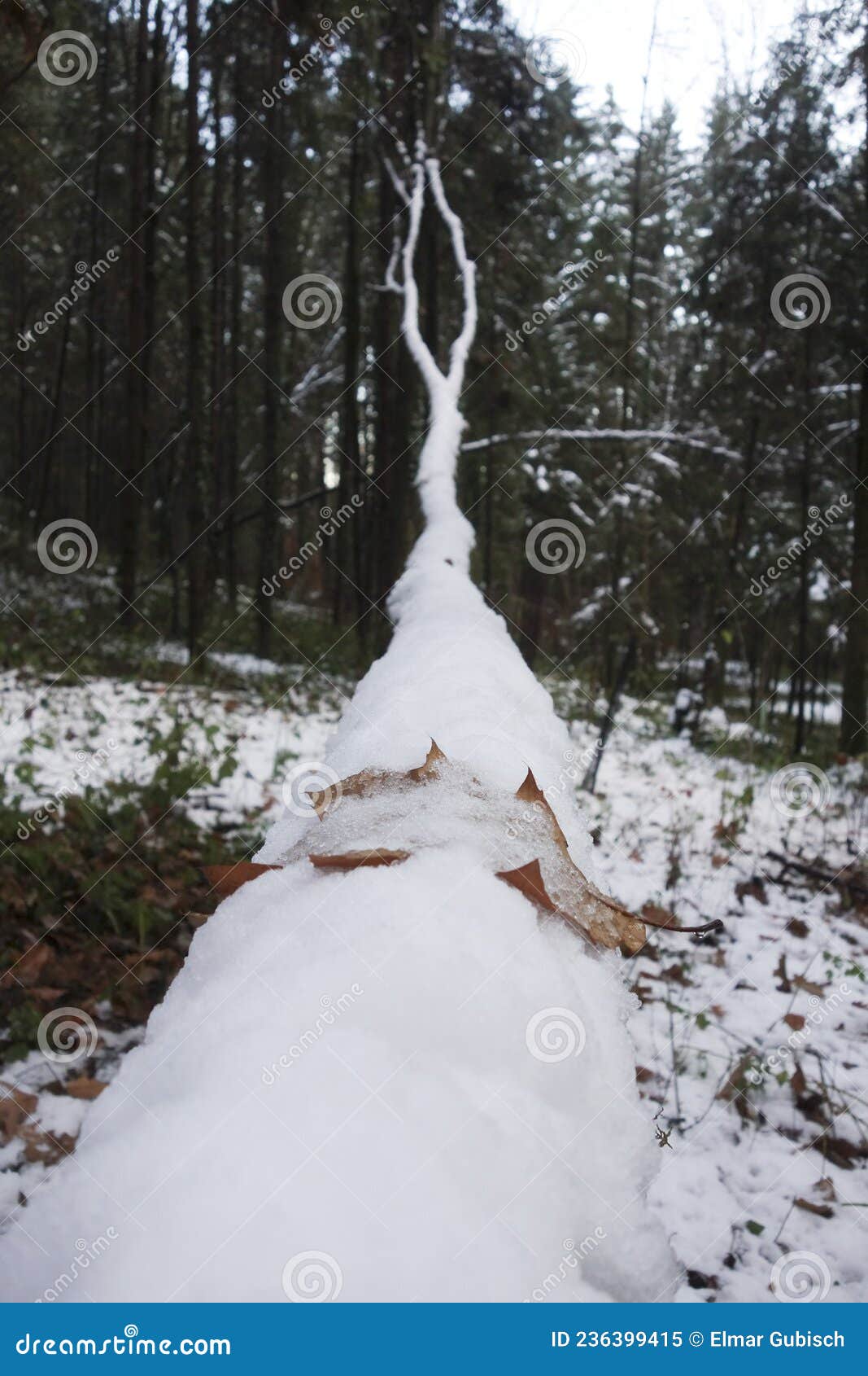 White snow in winter time stock image. Image of white - 236399415