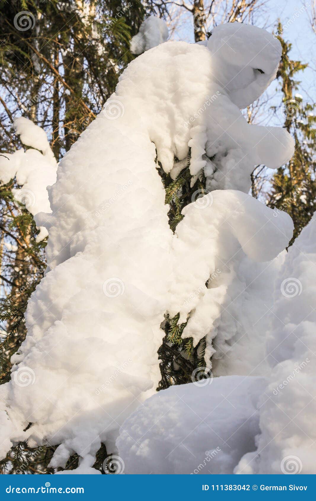 A White Snowdrift of Snow on a Tree. Stock Photo - Image of frost ...