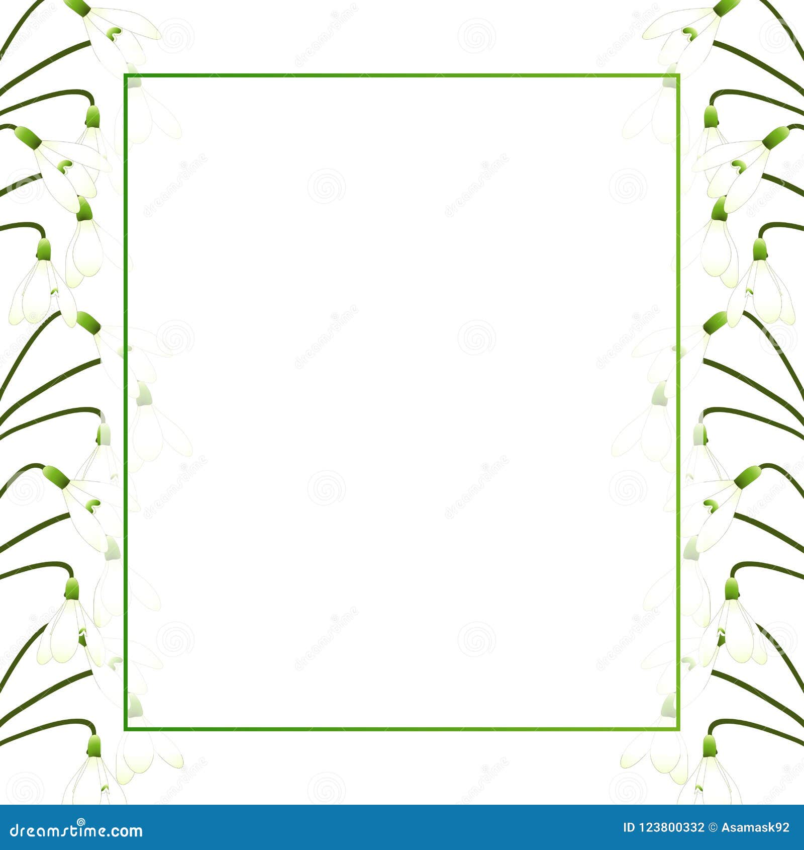 White Snowdrop Flower Banner Card Border. Vector Illustration Stock ...